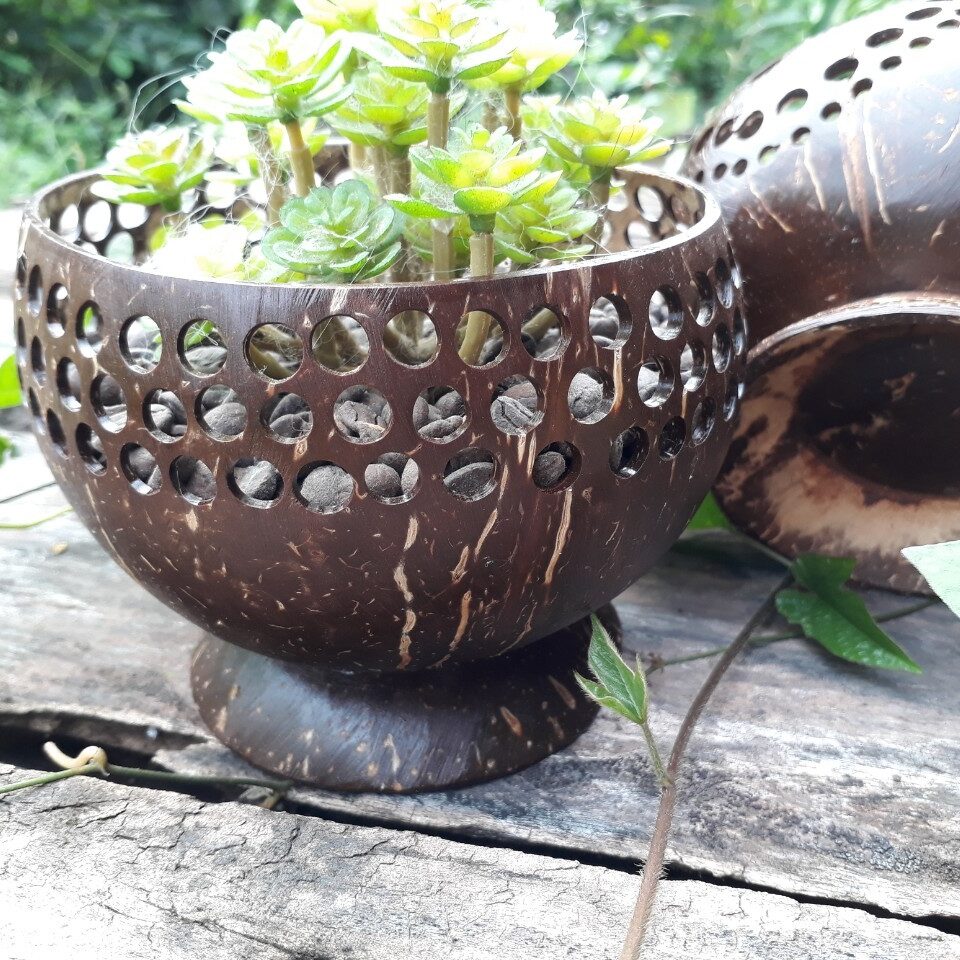 Large size coconut shell planter pots, Perfect decoration gift Idea ...